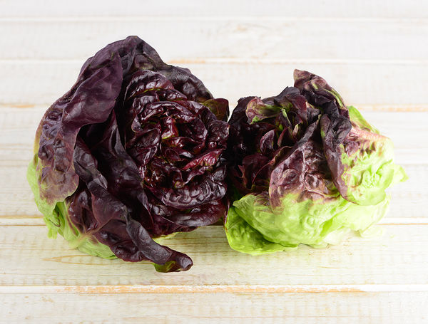 Eichblatt rot von Tior liefern lassen