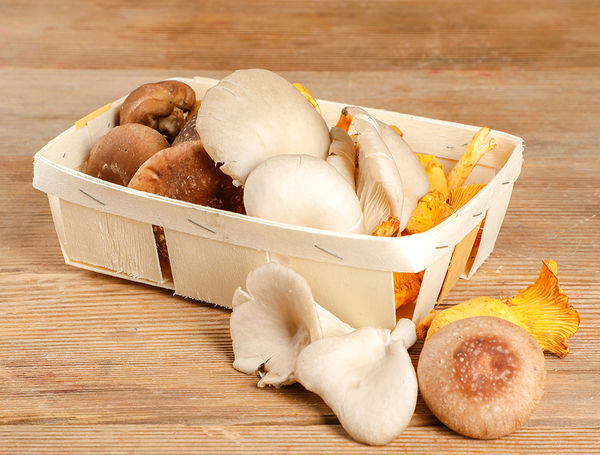 Mischpilze 200g von Pilzhandel Hugo Dubno liefern lassen