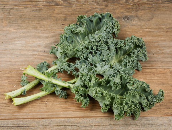 Federkohl (Kale) grün – Vegetarisch – Farmy.ch