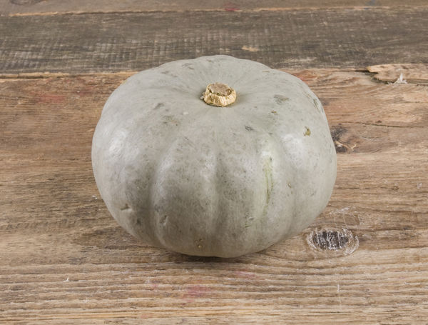 Kürbis Kabocha Mini von Jucker Farm liefern lassen