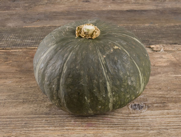 Japanischen Kürbis Kabocha von Jucker Farm liefern lassen
