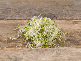 Sprossana - Bio-Sprossen, sprossana mauren, thurgau