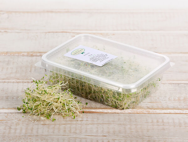 Sprossen Alfalfa, 100g von Sprossana liefern lassen