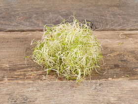 Sprossen Randen, 100g – Sprossana, Mauren – Farmy.ch