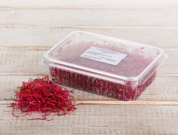 Sprossen Randen, 100g von Sprossana schnell liefern lassen