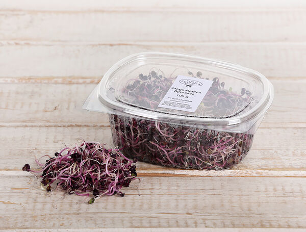 Pousses de radis, 100g de Sprossana rapide chez vous