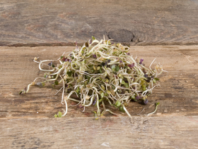 Sprossana - Bio-Sprossen, sprossana mauren, thurgau