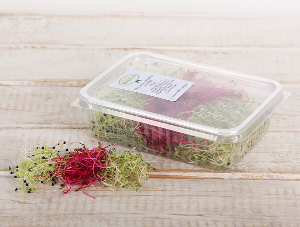 Sprossen 3er Delikatess, 100g von Sprossana liefern lassen