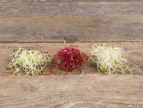 Sprossen 3er Delikatess, 100g von Sprossana liefern lassen