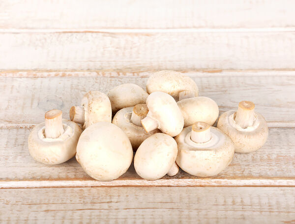 Bio Champignons weiss, 250g von Fine Funghi liefern lassen