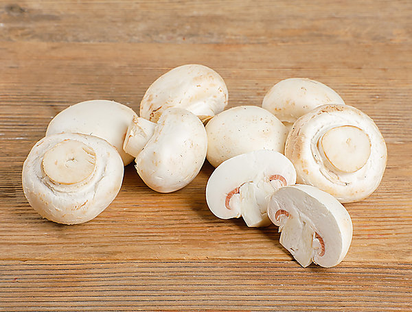 Bio Champignons weiss, 250g von Fine Funghi liefern lassen