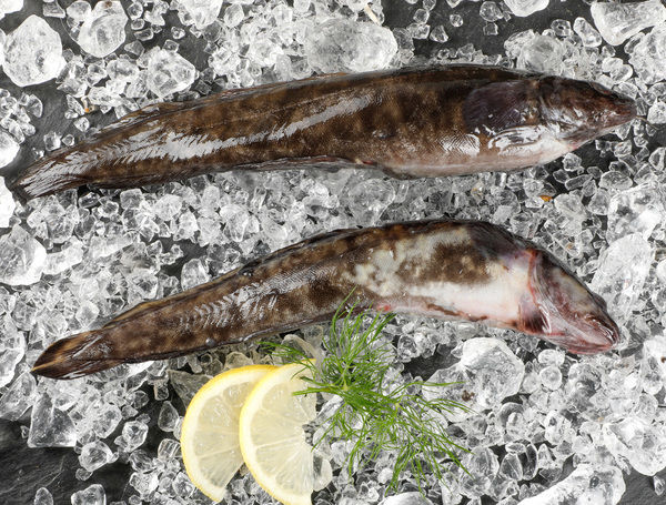 Trüschen ganz, 2 Fische, ca. 400g von ZHAW liefern lassen