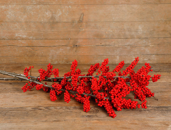 Have the beautiful Illex red from Blumenhalle quickly delivered