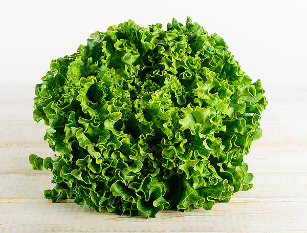 Bio Batavia Salat rot von Rathgeb BioProdukte liefern lassen