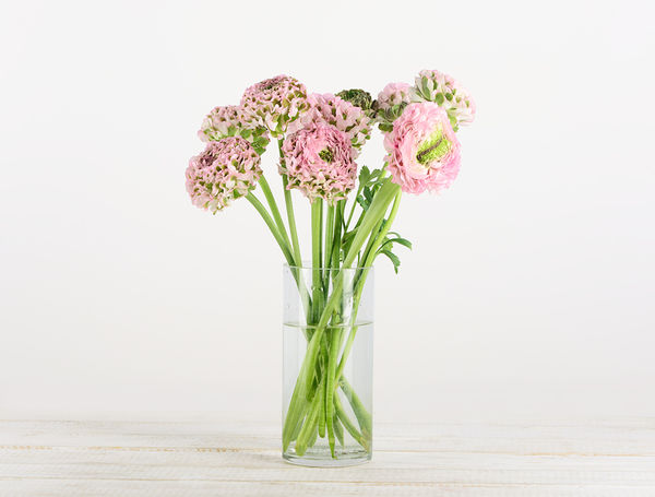 Have Ranunculus Pon Pon 10 stems from Blumenpost delivered