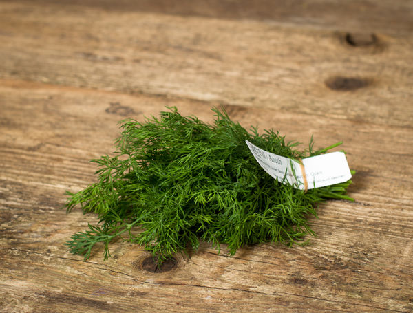 Bio Aneth de El Tamiso rapidement et facilement chez vous