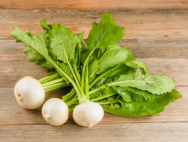 Have the fresh White Turnip Bunch from Cultibio delivered
