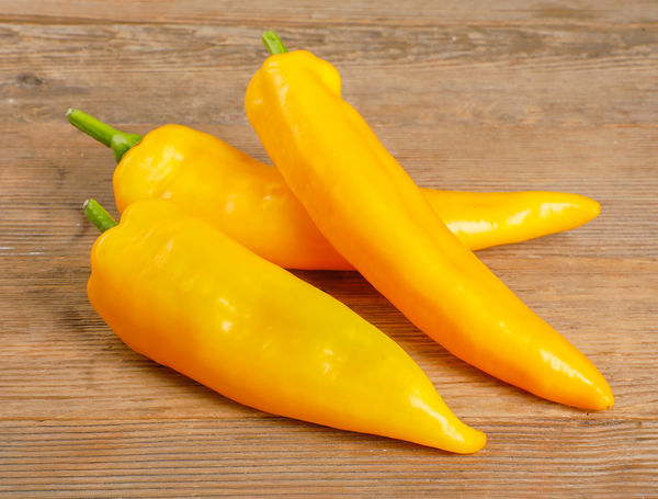 Bio Peperoni Ramiro lang gelb von Terraviva liefern lassen